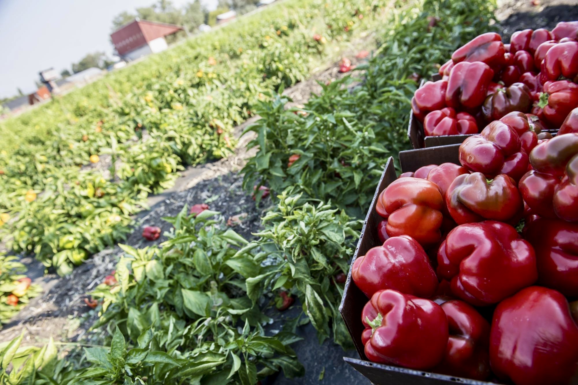 The Outlook | News, Sports & Community in Gresham and East Multnomah ...