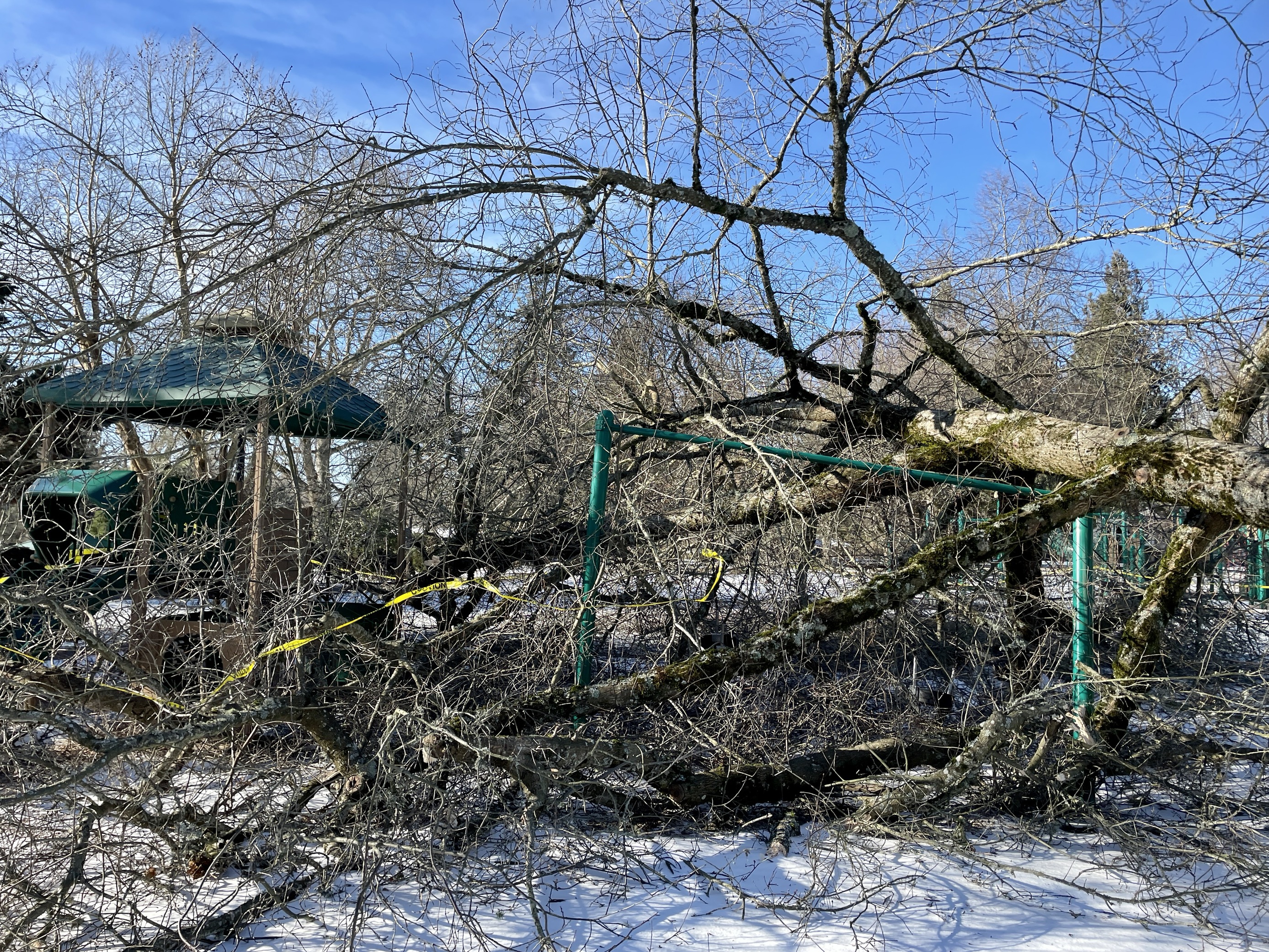 Fallen tree damages play structure at Gresham’s Bella Vista Park | The ...