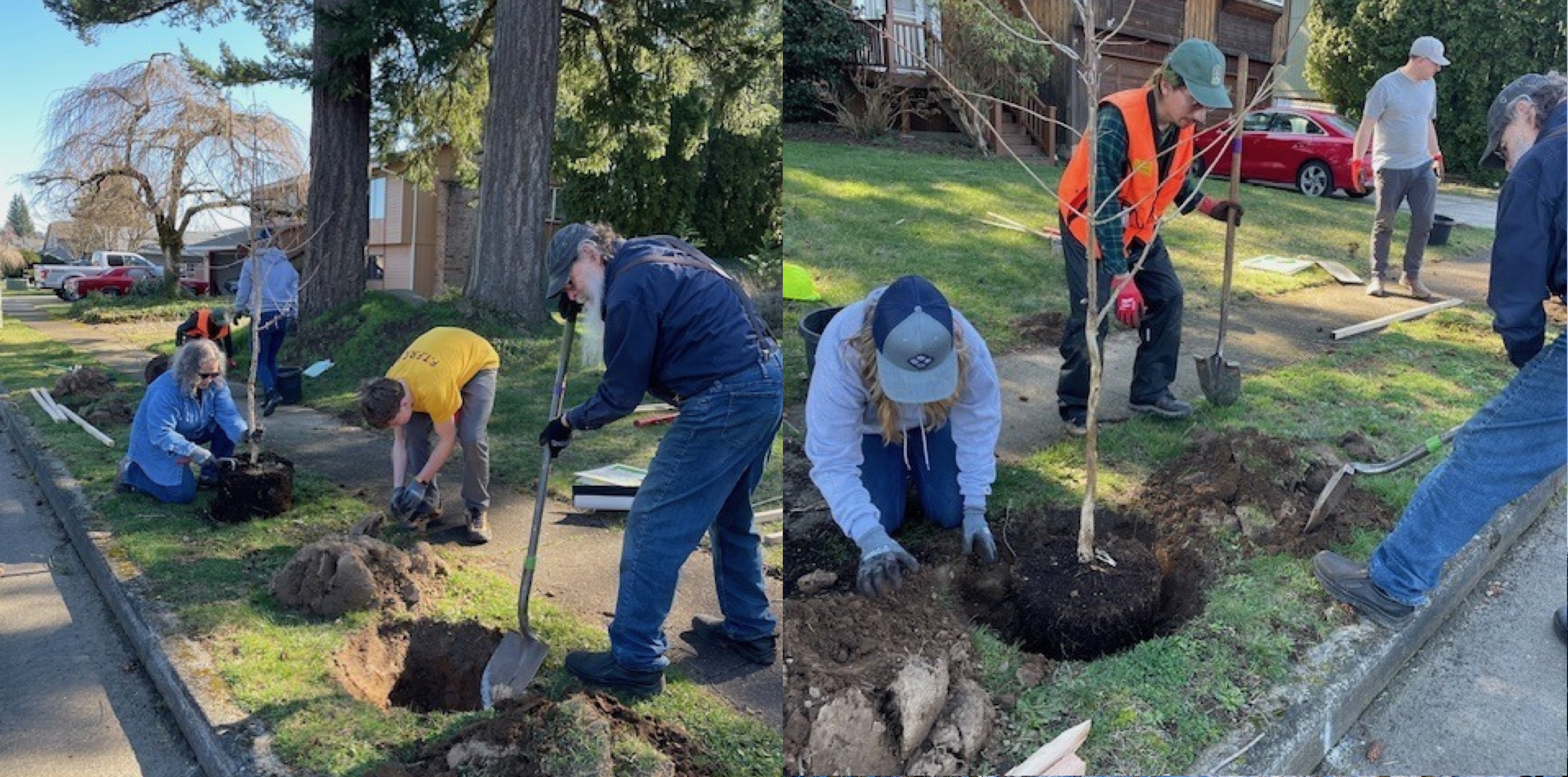 Troutdale volunteers plant 35 trees across city | The Outlook